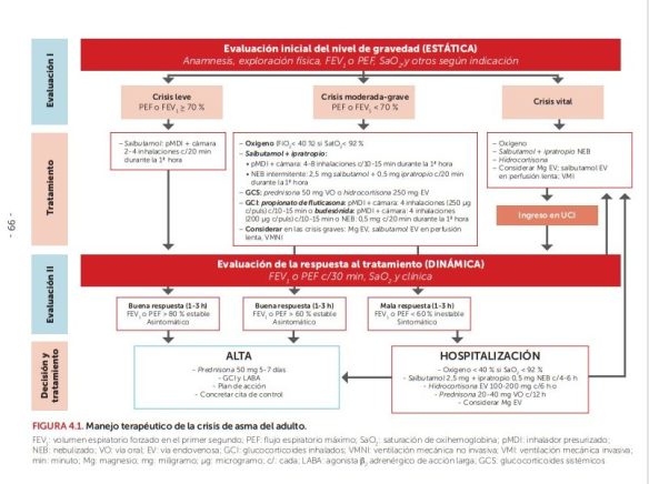 Guía de Atención al paciente con ASMA: GEMA 5.1 – elenfermerodelpendiente