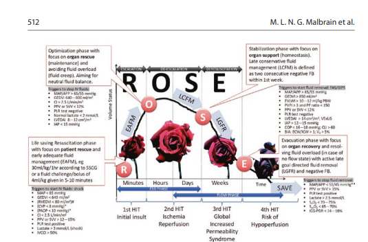 Empleo racional de fluidos en el paciente crítico: manual de referencia ...
